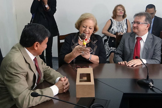 Cevid do TJ lidera comitiva de SC que foi conhecer aplicativo Salve ...
